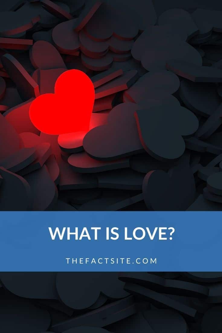 What Is Love? The 6 Different Forms Of Love - The Fact Site