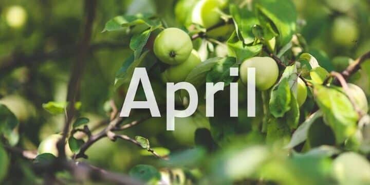 20 Marvelous Facts About May - The Fact Site