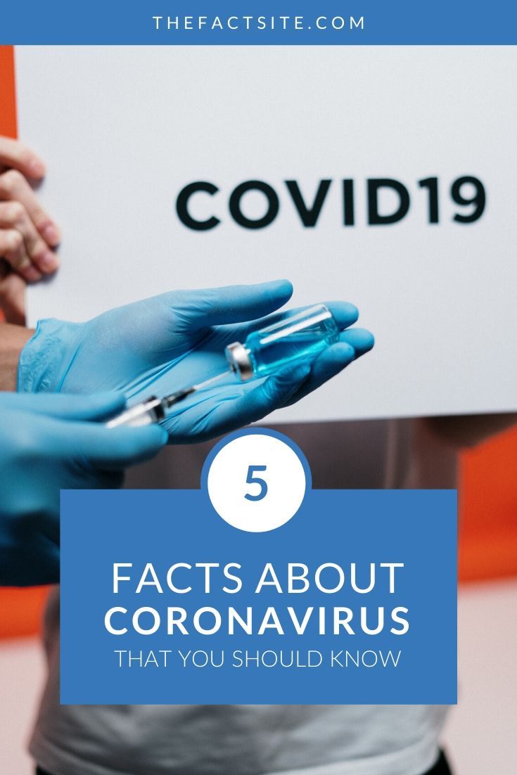 5 Facts About Coronavirus That You Should Know - The Fact Site
