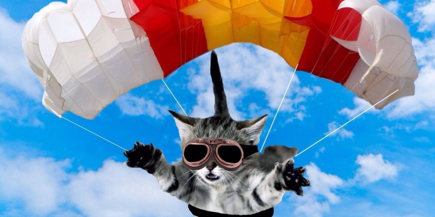 How The RAF Fought Malaria With Parachuting Cats - The Fact Site