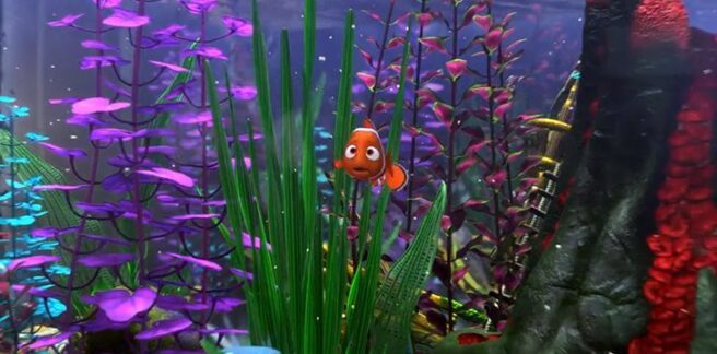 5 Nifty Facts About Nemo - The Fact Site