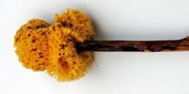 10 Amazing Facts About Ancient Rome And The Romans - The Fact Site