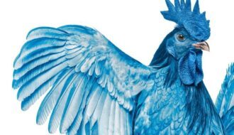 15 Fascinating Facts About Delaware - The Fact Site