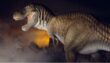 13 Terrific Facts About The Tyrannosaurus Rex - The Fact Site