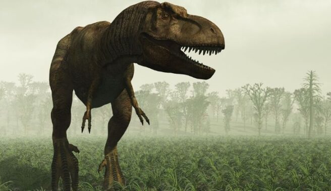13 Terrific Facts About The Tyrannosaurus Rex - The Fact Site