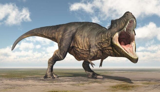 13 Terrific Facts About The Tyrannosaurus Rex - The Fact Site