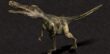 13 Valiant Facts About Velociraptors - The Fact Site