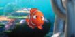 5 Nifty Facts About Nemo - The Fact Site