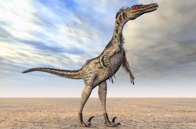 13 Valiant Facts About Velociraptors - The Fact Site