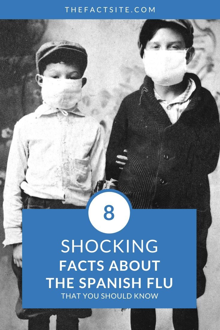 8 Shocking Facts About The Spanish Flu The Fact Site 8-shocking-facts-about-the-spanish-flu-the-fact-site