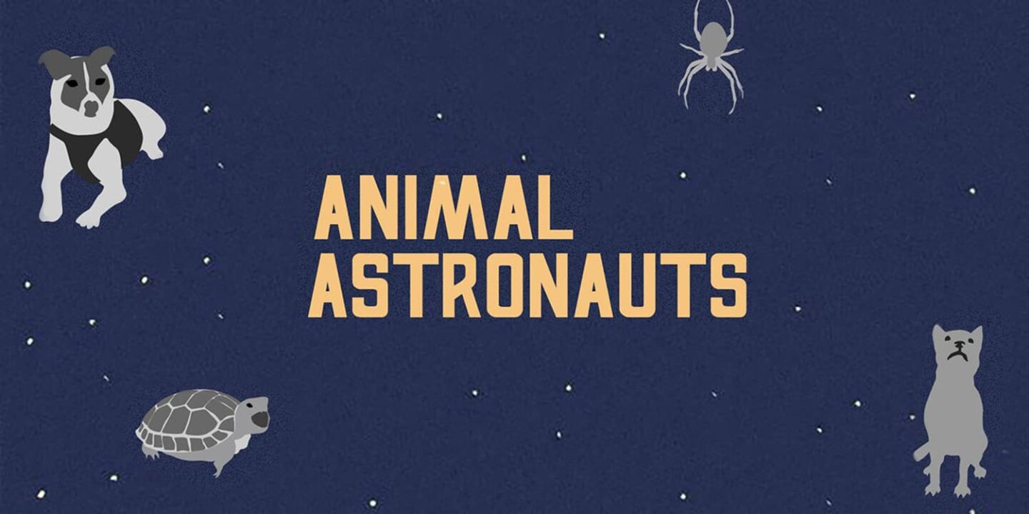 Animals That Have Visited Space InfoGraphic - The Fact Site