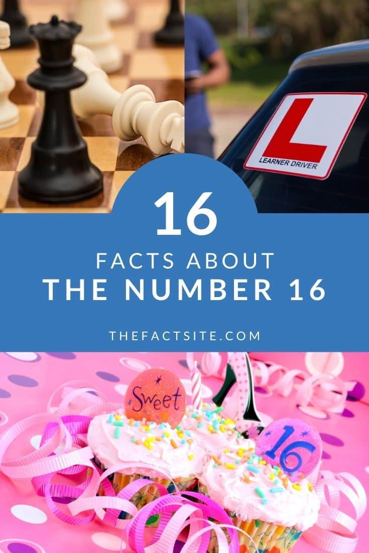 16 Facts About The Number 16 The Fact Site 16-facts-about-the-number-16-the-fact-site