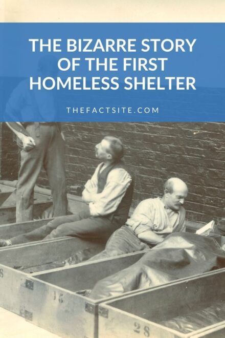 The Bizarre Story Of The First Homeless Shelter - The Fact Site