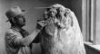 17 Mind Blowing Facts About Mount Rushmore - The Fact Site