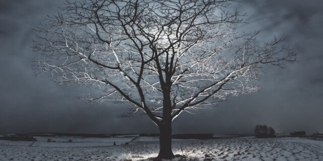 What Is A Flower Moon? - The Fact Site