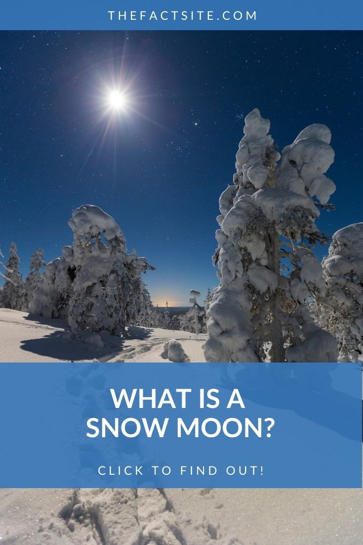 What Is A Snow Moon? - The Fact Site