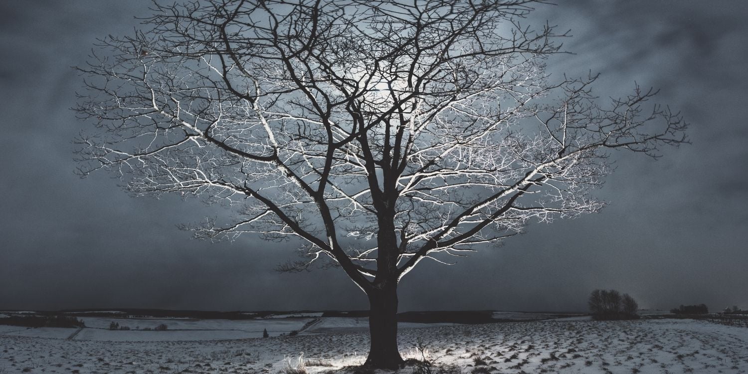 What Is A Blue Moon & How Rare Is It? - The Fact Site