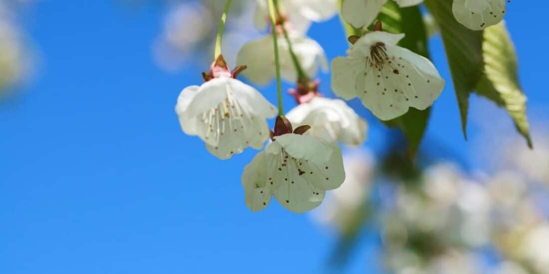 April 12: Facts & Historical Events On This Day - The Fact Site