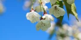 April 12: Facts & Historical Events On This Day - The Fact Site