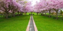 22 Fabulous Facts About Thursday - The Fact Site