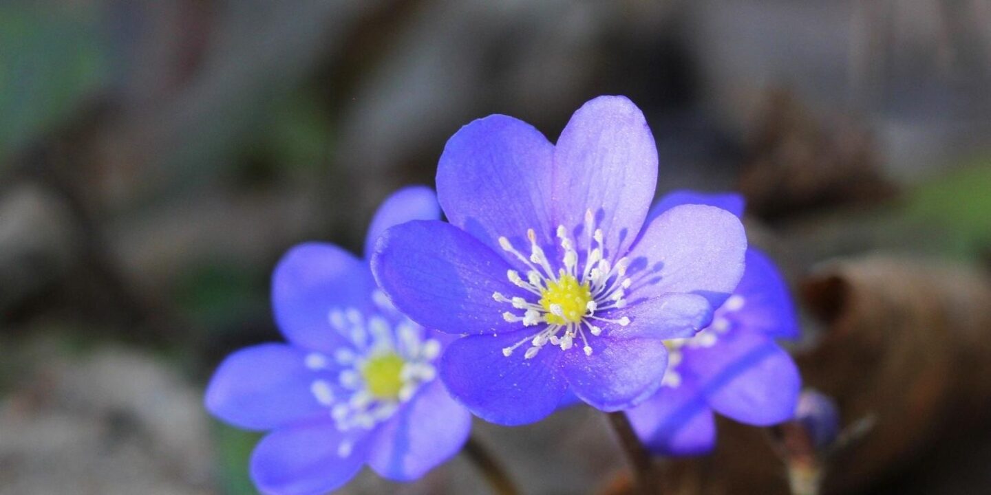 April 14: Facts & Historical Events On This Day - The Fact Site
