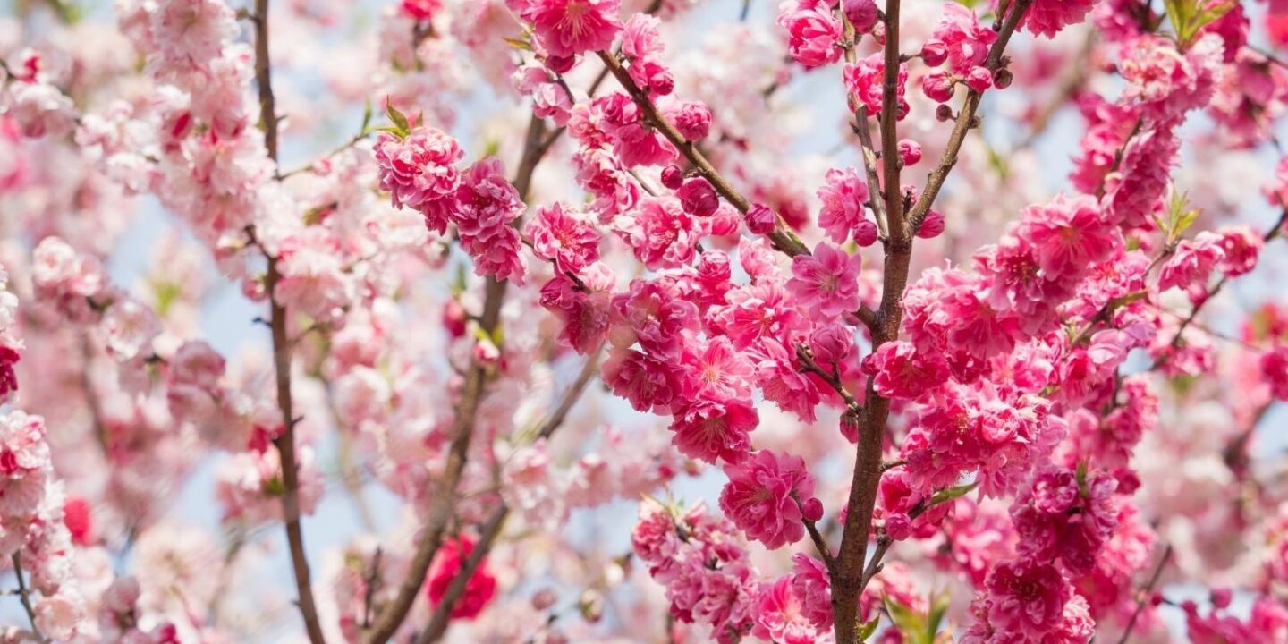 April 15: Facts & Historical Events On This Day - The Fact Site