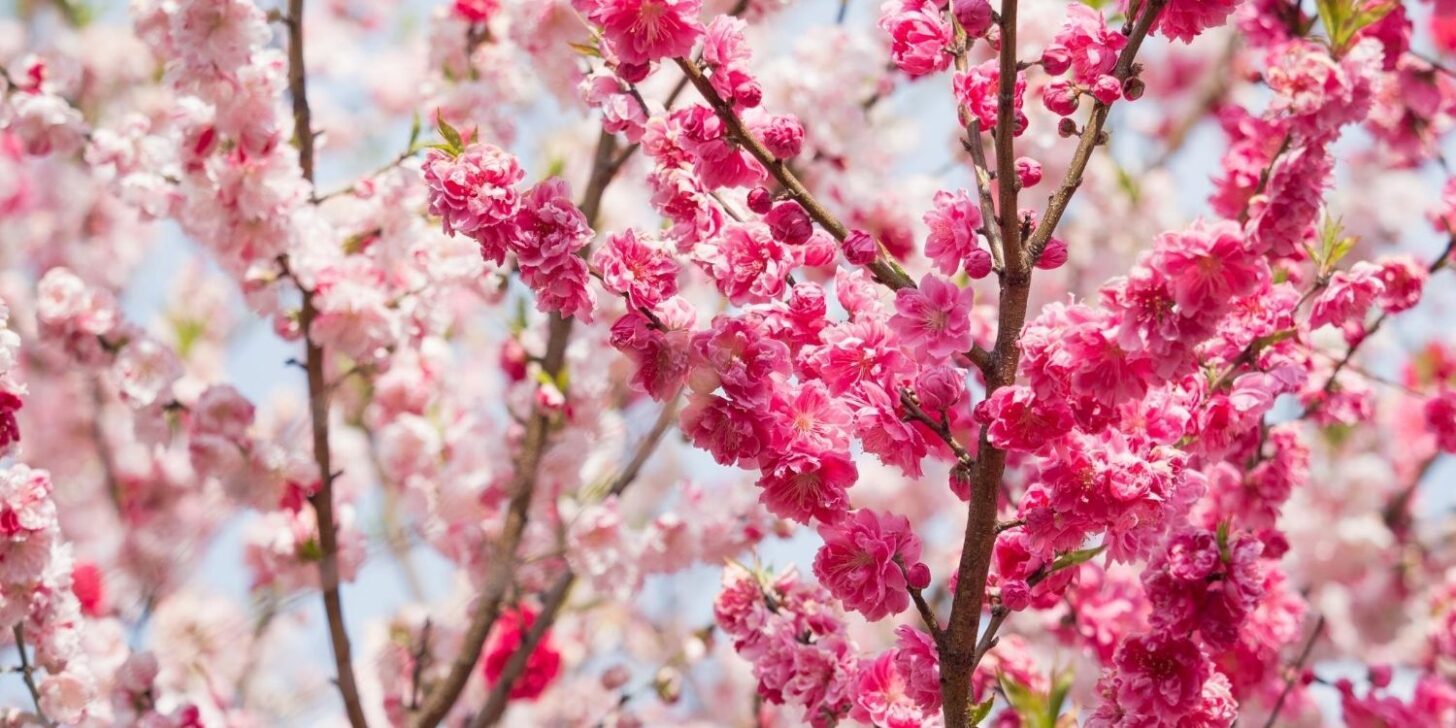 April 15: Facts & Historical Events On This Day - The Fact Site