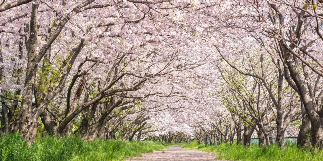 April 16: Facts & Historical Events On This Day - The Fact Site