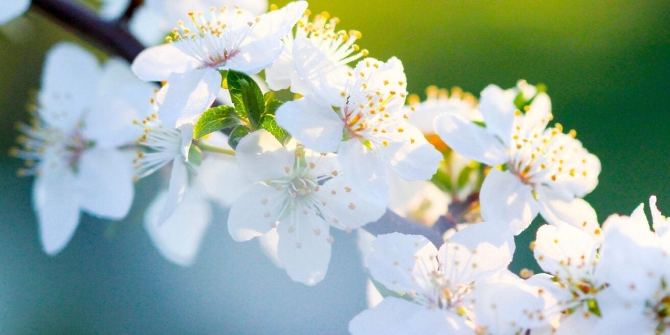 April 17: Facts & Historical Events On This Day - The Fact Site