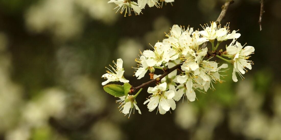20 Interesting Facts About Lent - The Fact Site