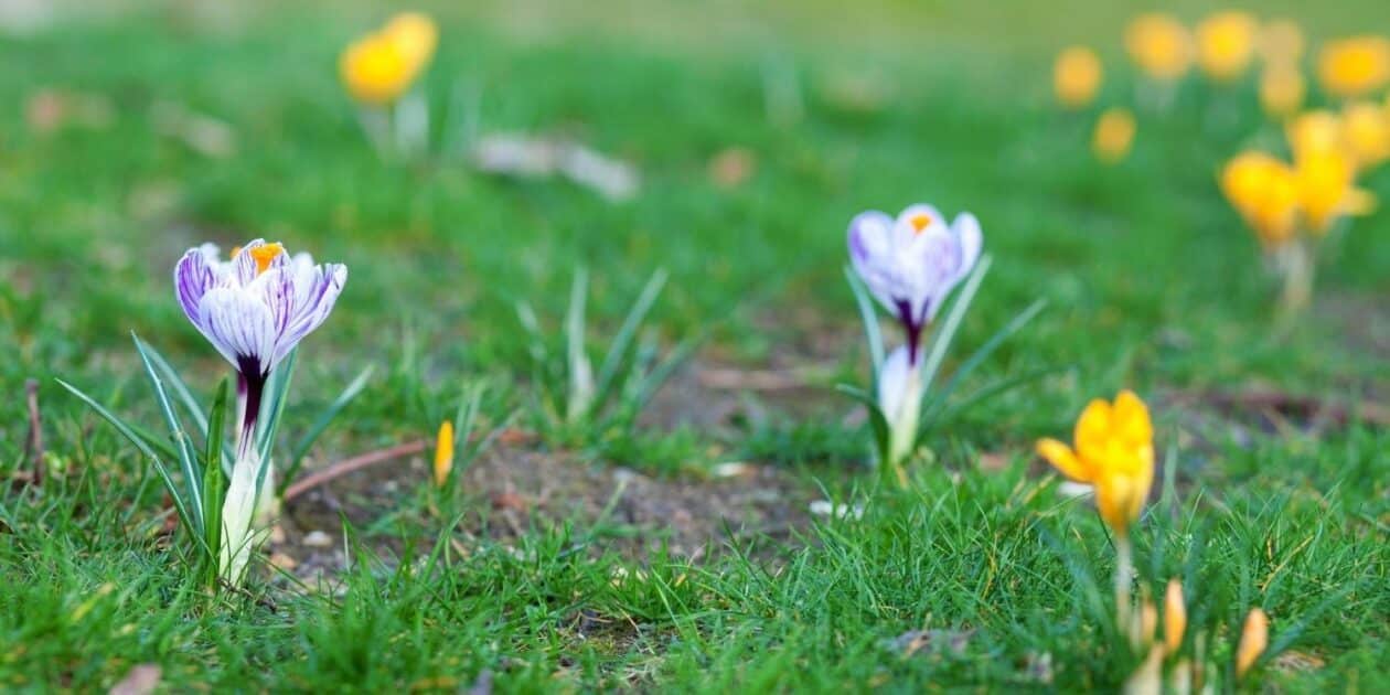 April 21: Facts & Historical Events On This Day - The Fact Site