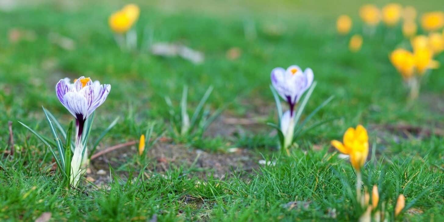 April 21: Facts & Historical Events On This Day - The Fact Site