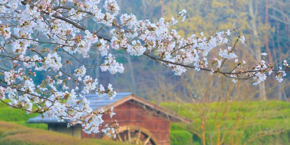 April 23: Facts & Historical Events On This Day - The Fact Site