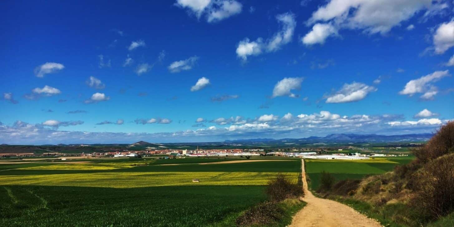 50 Fascinating Monkey Facts That Will Leave You “Ape-solutely” Amazed - The Fact Site