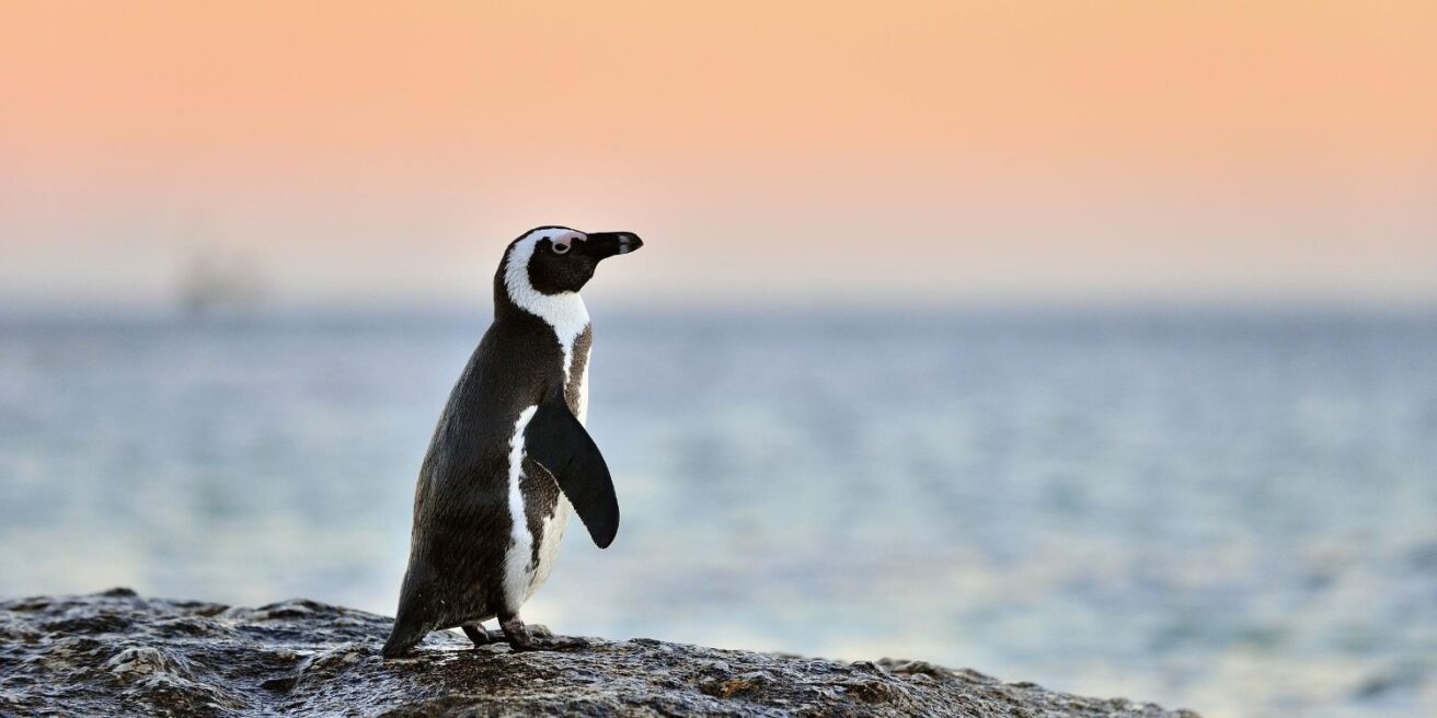 April 25: Facts & Historical Events On This Day - The Fact Site