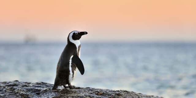 April 25: Facts & Historical Events On This Day - The Fact Site