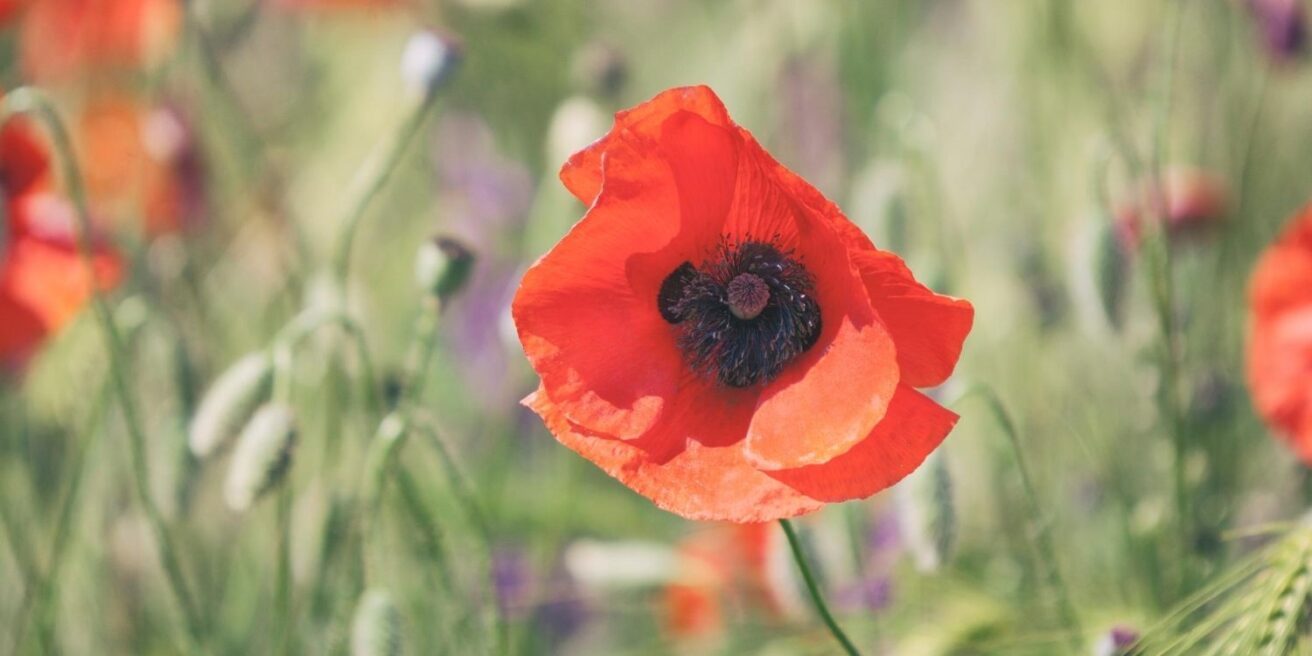 April 27: Facts & Historical Events On This Day - The Fact Site