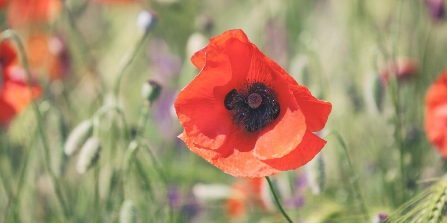 April 27: Facts & Historical Events On This Day - The Fact Site