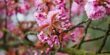 April 30: Facts & Historical Events On This Day - The Fact Site