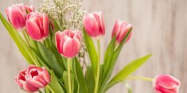 April 4: Facts & Historical Events On This Day - The Fact Site