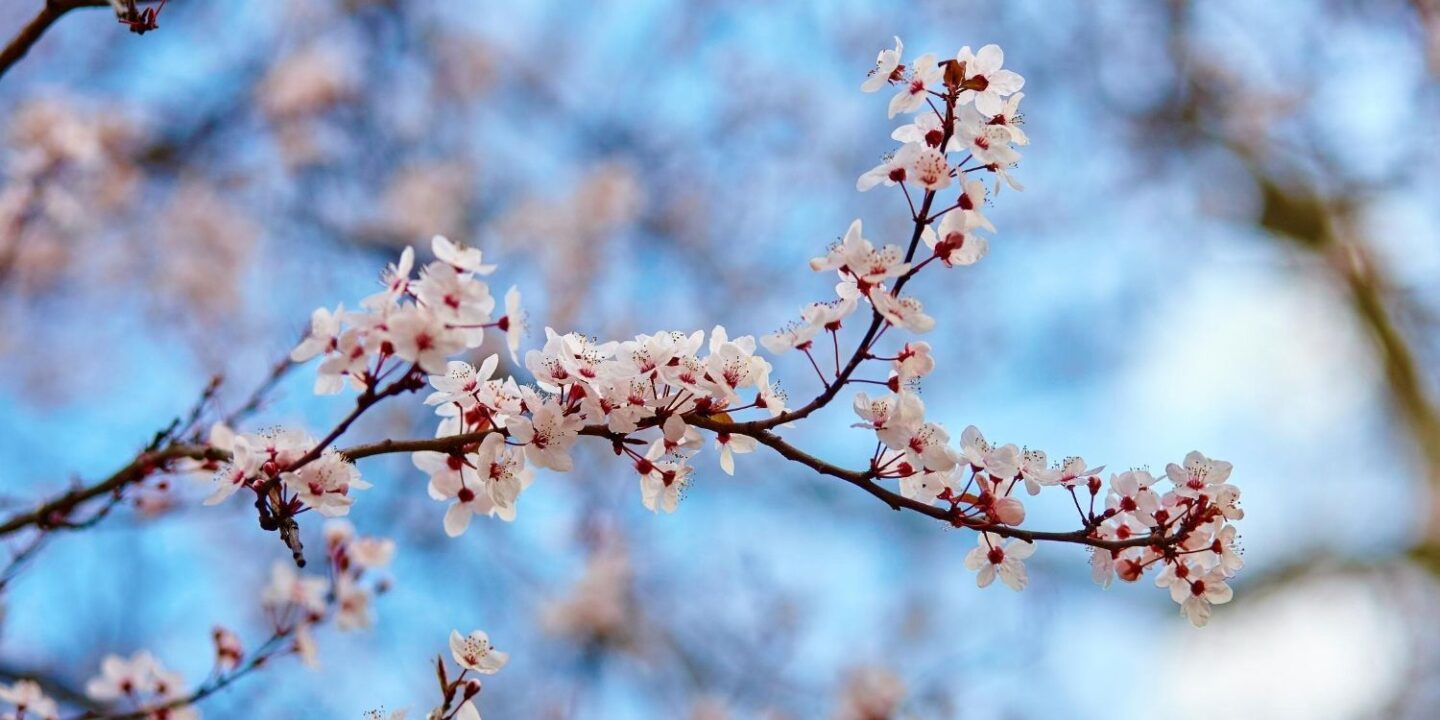 April 5: Facts & Historical Events On This Day - The Fact Site