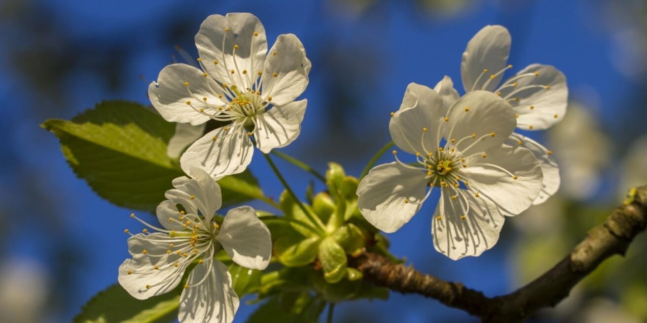 April 7: Facts & Historical Events On This Day - The Fact Site