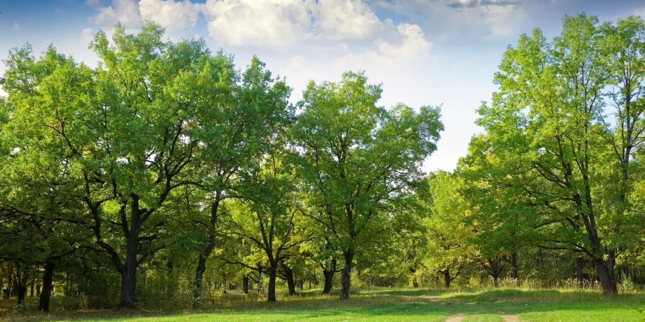 August 10: Facts & Historical Events On This Day - The Fact Site