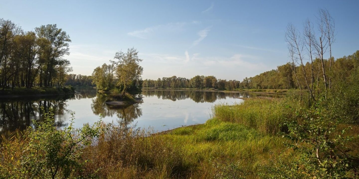 August 11: Facts & Historical Events On This Day - The Fact Site