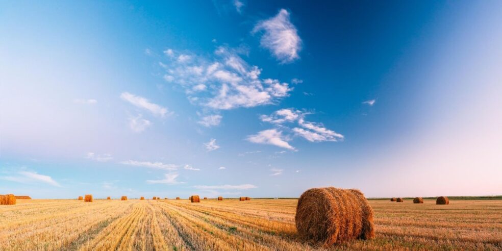 August 13: Facts & Historical Events On This Day - The Fact Site