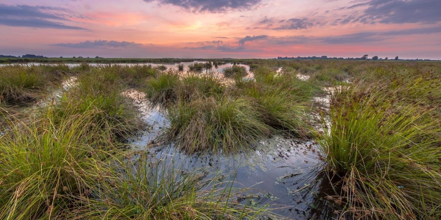 August 17: Facts & Historical Events On This Day - The Fact Site