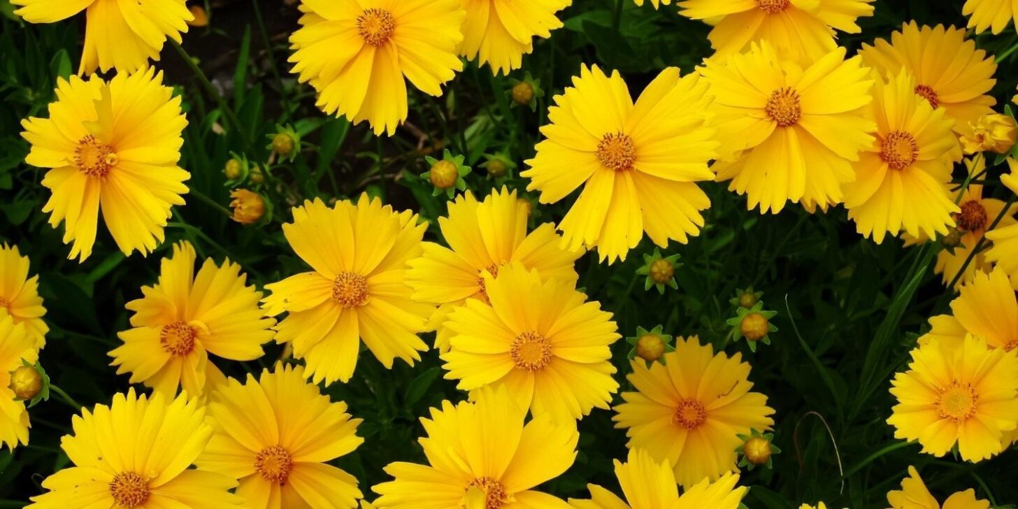 August 19: Facts & Historical Events On This Day - The Fact Site