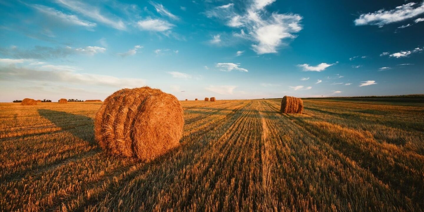 August 2: Facts & Historical Events On This Day - The Fact Site