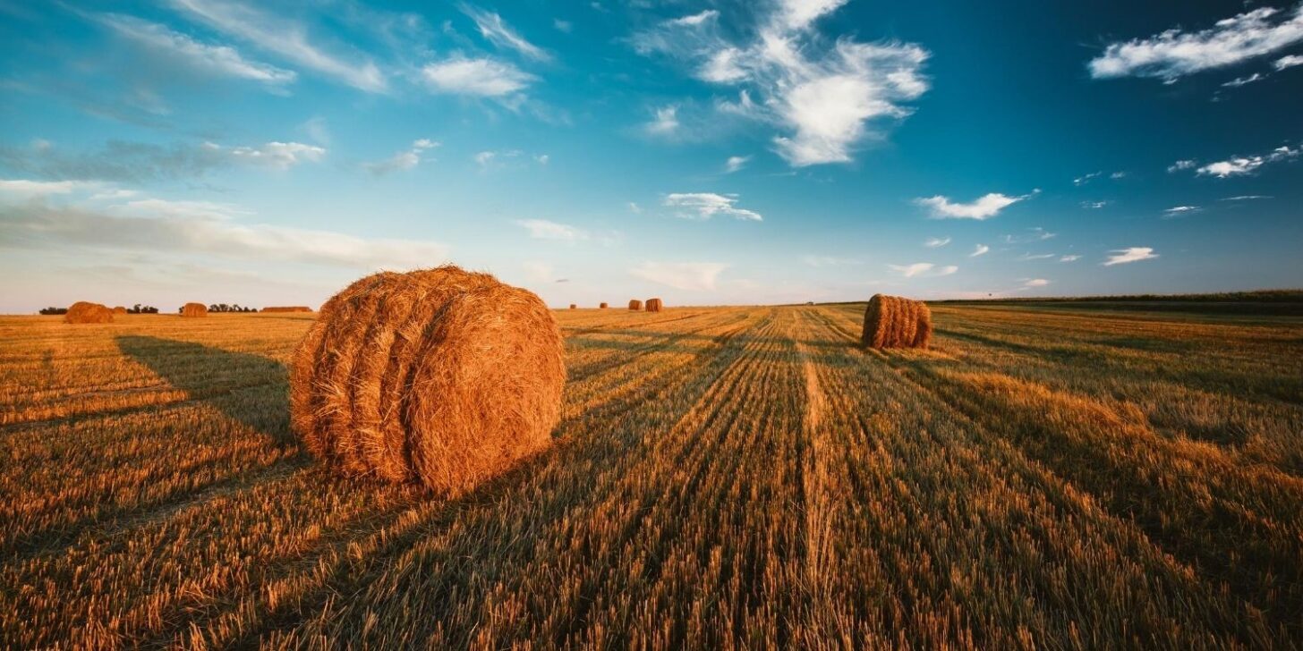 August 2: Facts & Historical Events On This Day - The Fact Site