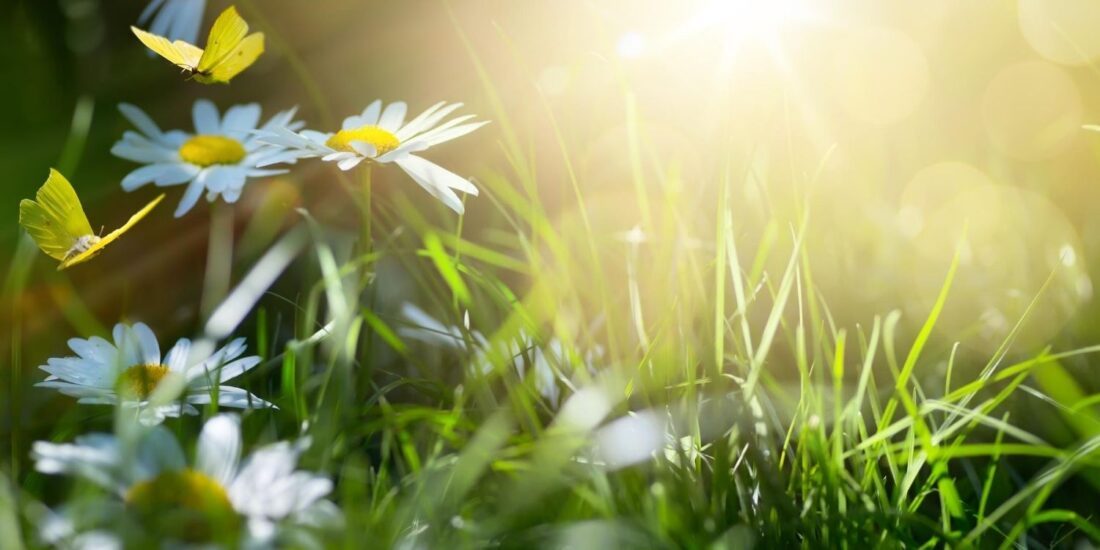 August 21: Facts & Historical Events On This Day - The Fact Site